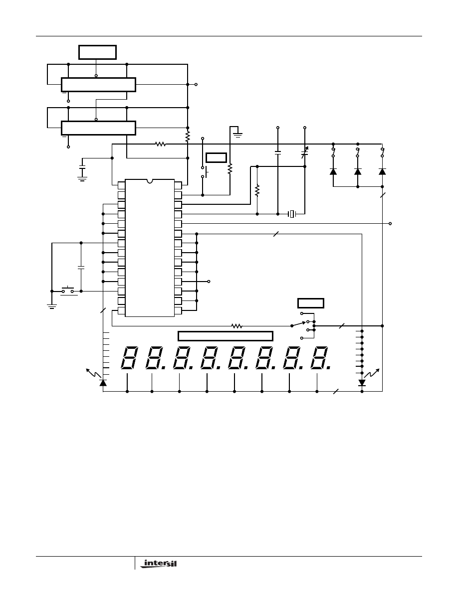 Caracteristicas tecnicas de ICM7216 - Datasheet